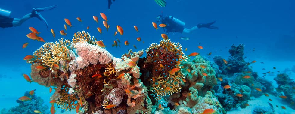 TUI Holidays | Live Happy | tui.co.uk